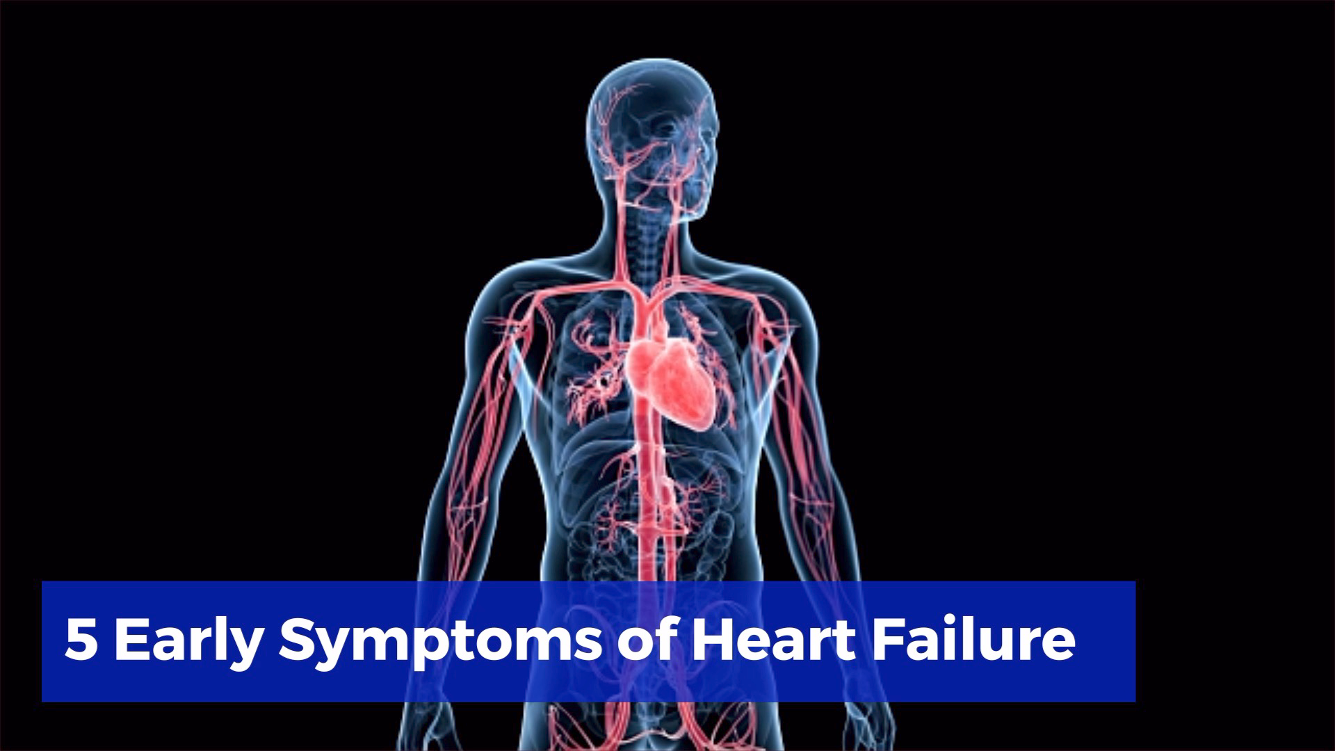 Leave a Reply Cancel reply